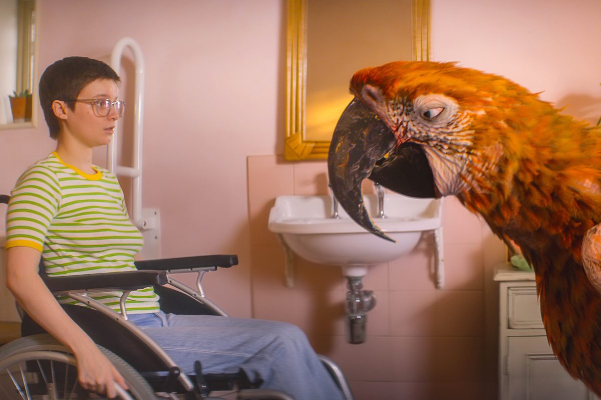 『終わりの鳥』新場面写真解禁！ A24の衝撃作に登場する＜デス＞の姿が明らかに － 人間と同じ大きさになったり手のひらサイズになったり変幻自在な死の化身 - cula